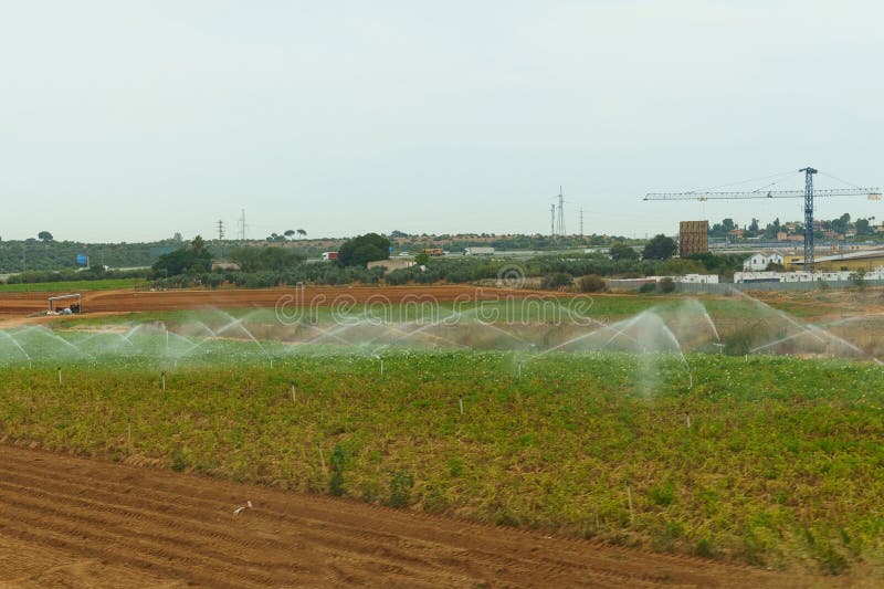 Spraying Water from an Irrigation System on a Potato Field in Spring ...