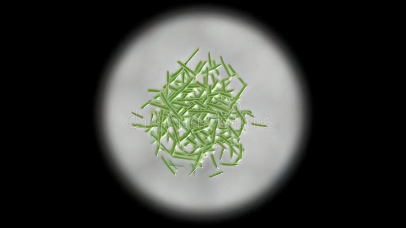 Spread of Bacteria 3d Medical Stock Illustration - Illustration of ...