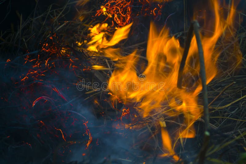 Spread of Fire and Smoke, Burning Grass, Take Care of Nature. Stock ...