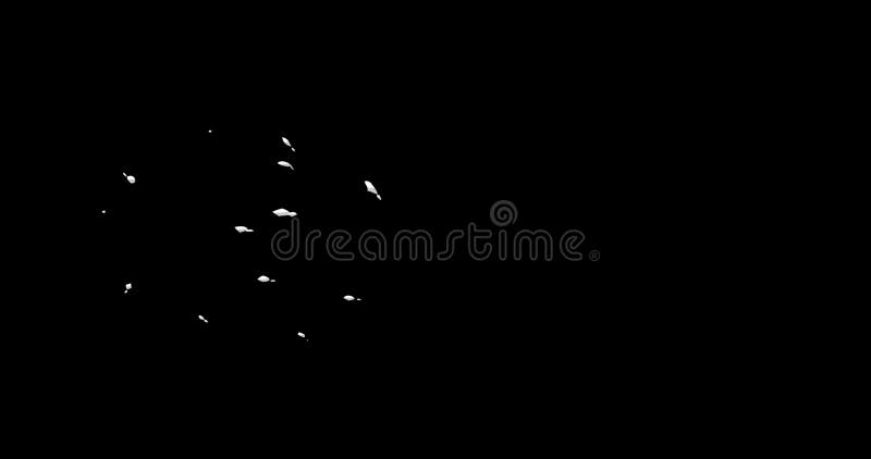 Spread Out Element Splash Energy Dynamic Motion 3 Step Stock Video ...