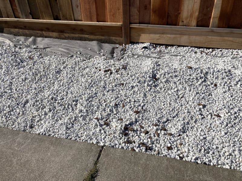 Spreaded White Gravel Rocks during Sidewalk Strip Landscaping Projects ...