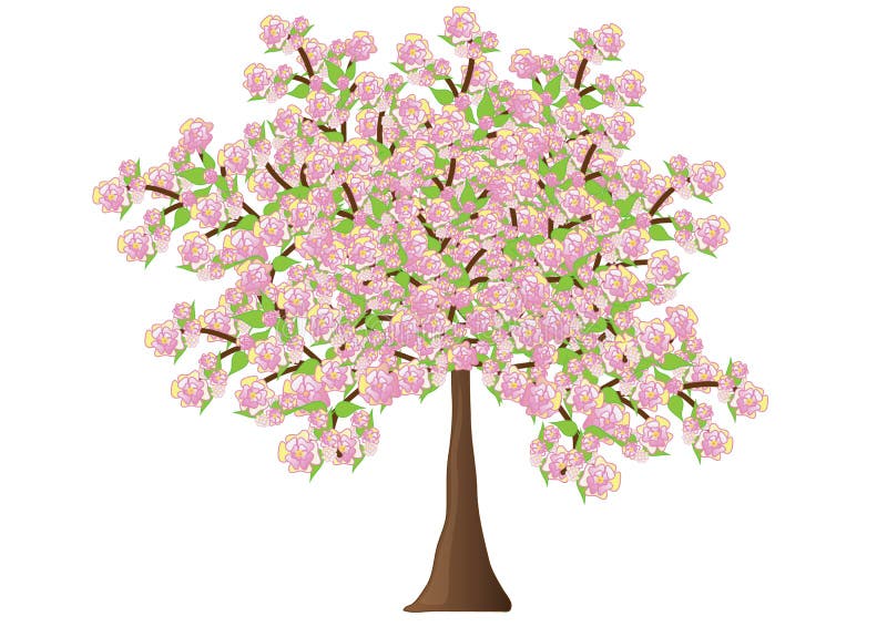 Flowering apricot tree stock vector. Illustration of clip - 61491100
