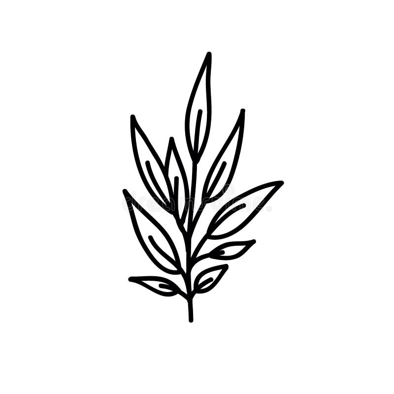 Laurel Sprig Stock Illustrations – 484 Laurel Sprig Stock Illustrations ...