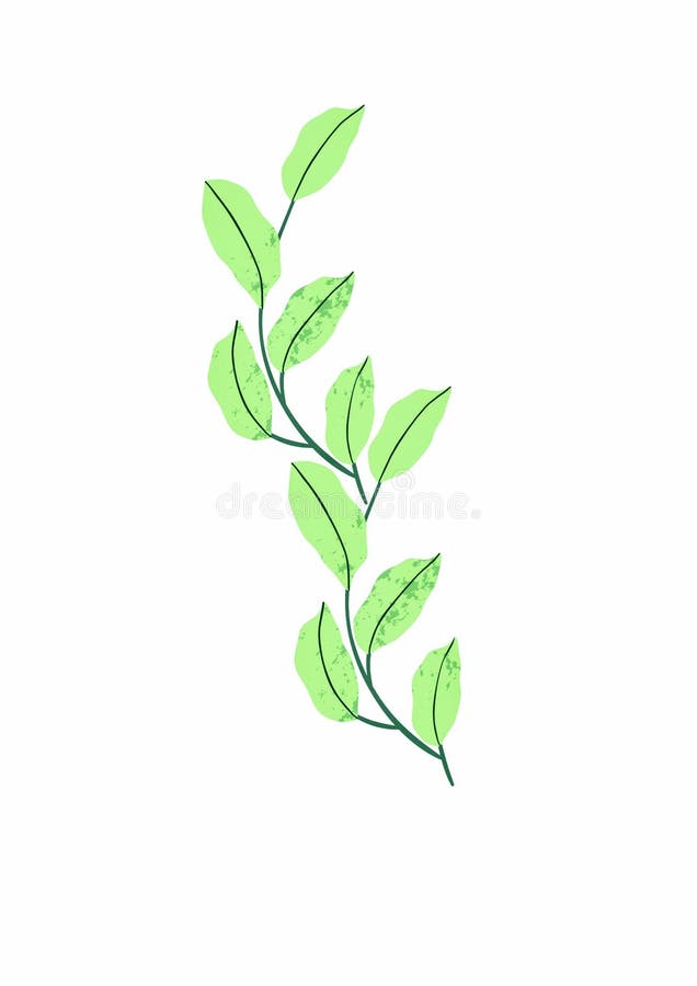 A Sprig of Green Leaf, Vector Illustration, Clip Art Stock Illustration ...