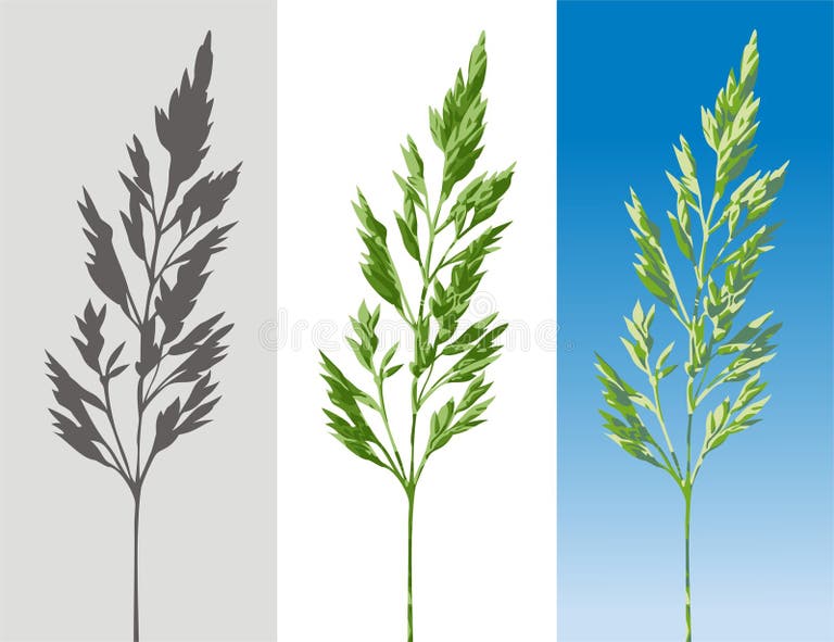 Sprig Colors Stock Illustrations – 696 Sprig Colors Stock Illustrations ...