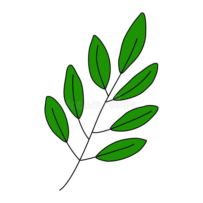 Sprig with Leaves, Ecology or Natural Spring Element, Doodle Style Flat ...
