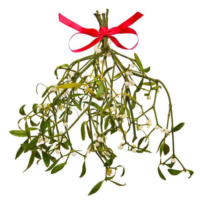 230+ Mistletoe Free Stock Photos - StockFreeImages