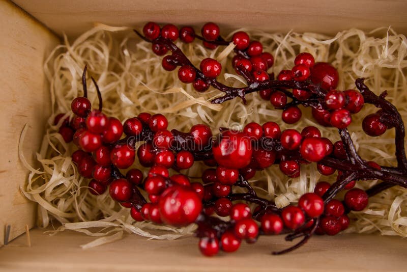 Sprigs of Dry Red Berries in a Wooden Box Decor Stock Photo - Image of ...
