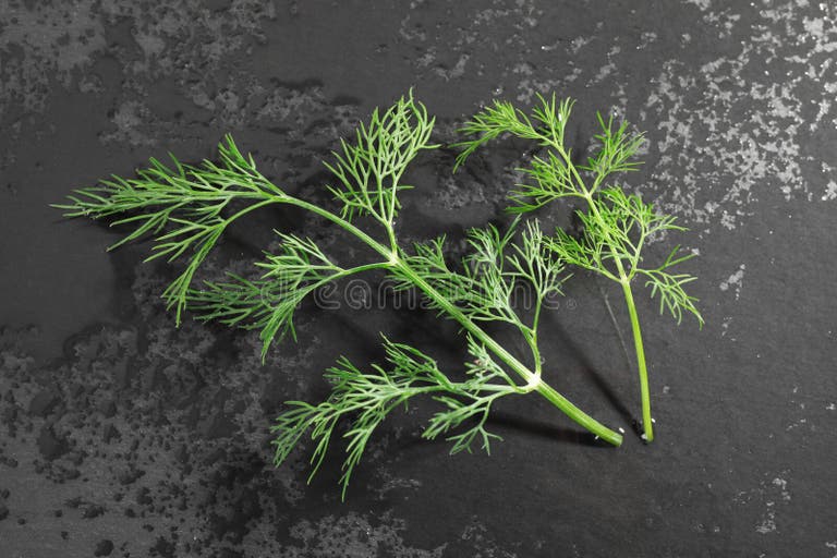 Sprigs of Fresh Dill on Grey Textured Table, Top View Stock Photo ...