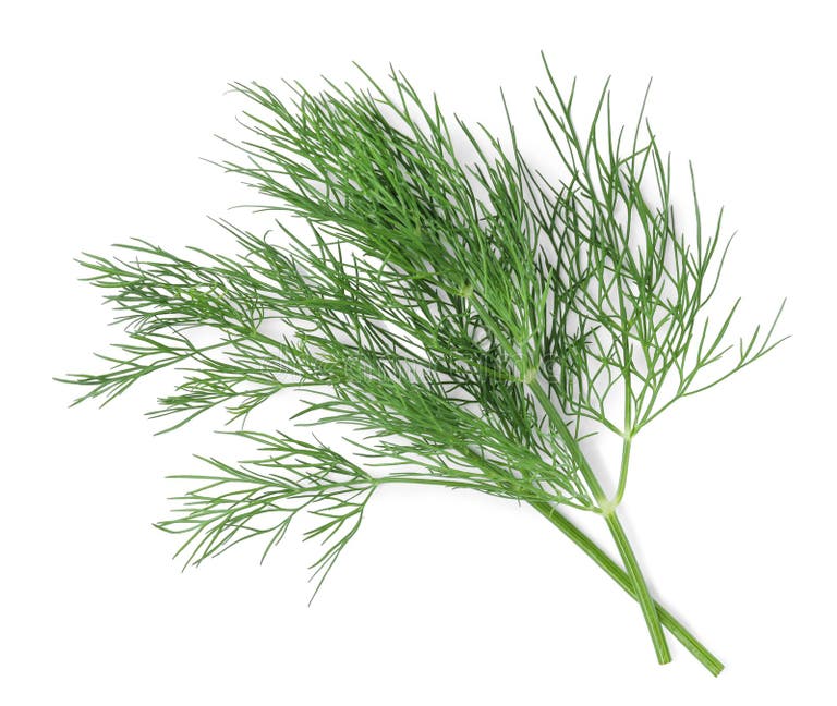 Sprigs of Fresh Dill Isolated on White, Top View Stock Photo - Image of ...