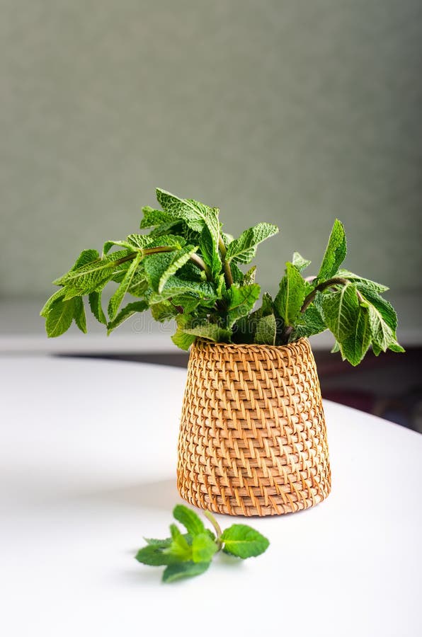 Sprigs Mint Small Rattan Vase Kitchen Table Stock Photos - Free ...