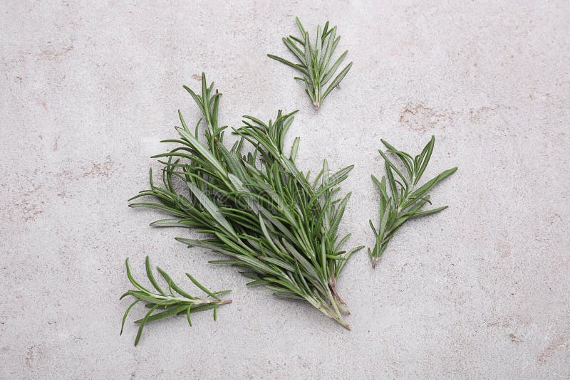 Sprigs of Rosemary on Light Gray Background, Flat Lay Stock Image ...
