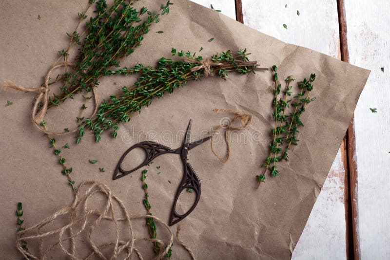 Sprigs of Thyme Dismantled on a Brown Paper Stock Image - Image of ...