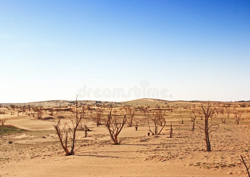 The spring stock image. Image of sand, spring, desert - 13239713