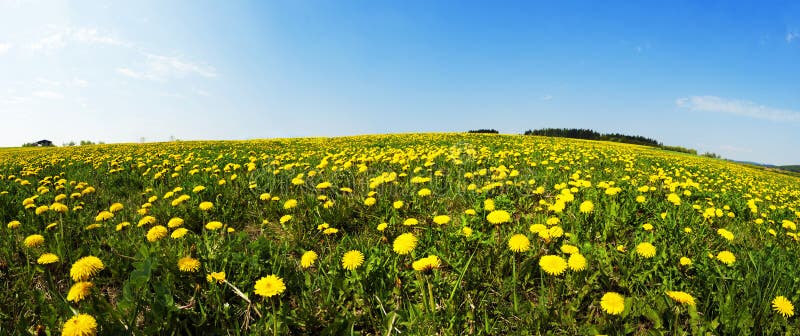 Busy Construction Workers Carrying Ladder Stock Photo - Image of body ...