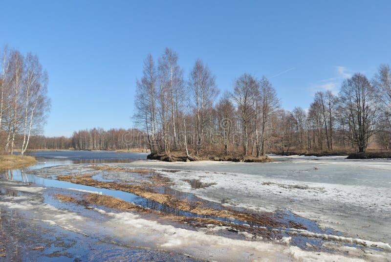 Spring stock photo. Image of spring, lake, trees, river - 29521794