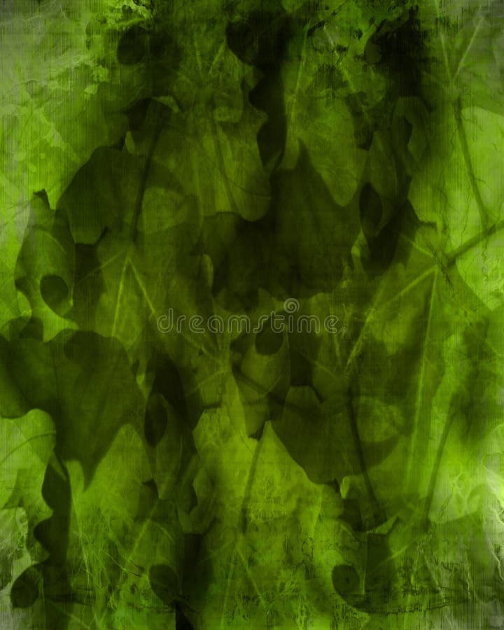 Spring Sprout with Foliage. Abstract Background Wi Stock Vector ...