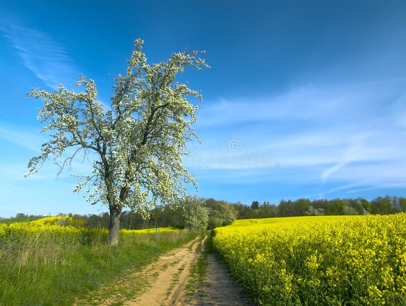 399 Plain Sun Poster Stock Photos - Free & Royalty-Free Stock Photos ...