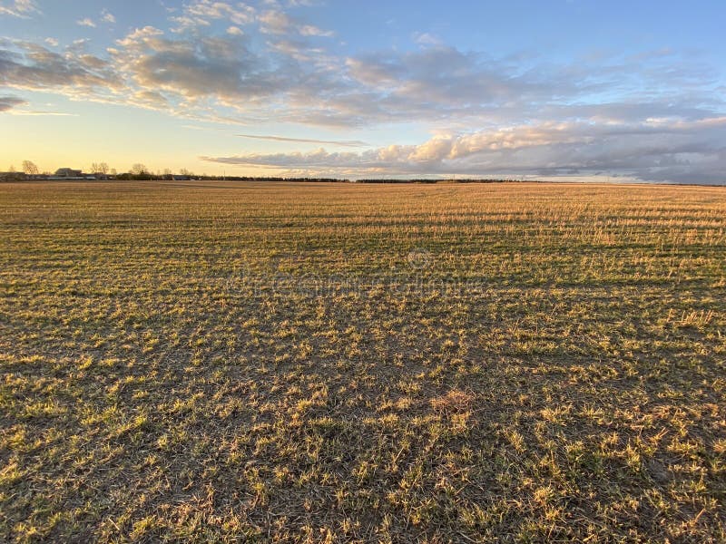 Spring Agricultural Field at Sunset Stock Photo - Image of horizon ...