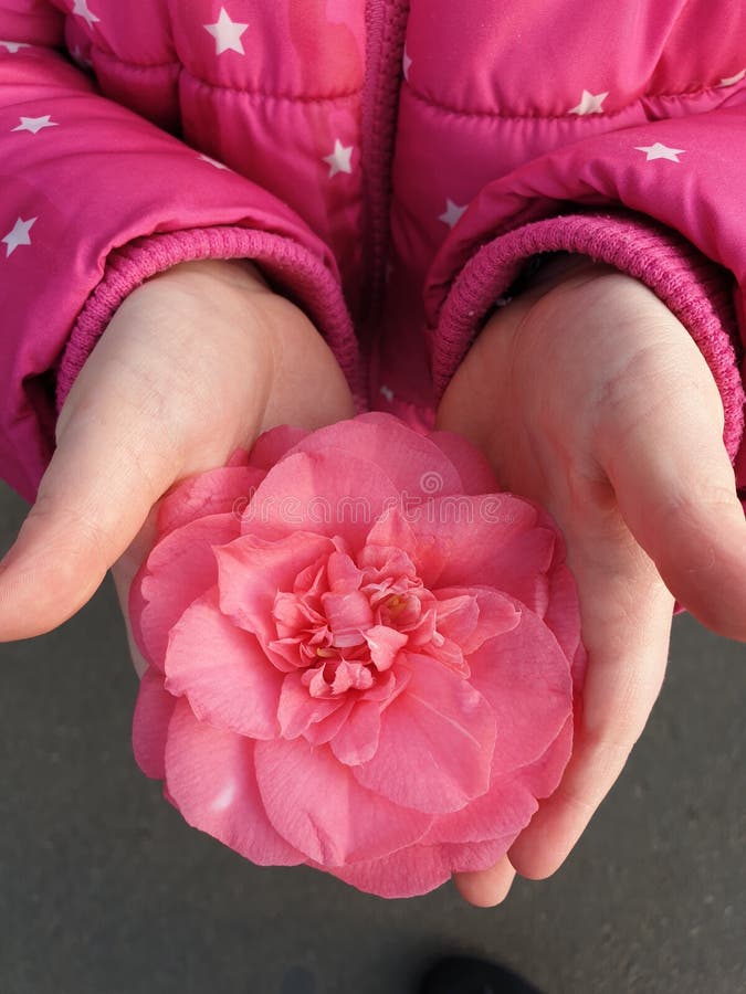 Spring is in the air stock photo. Image of flower, cute - 144913488