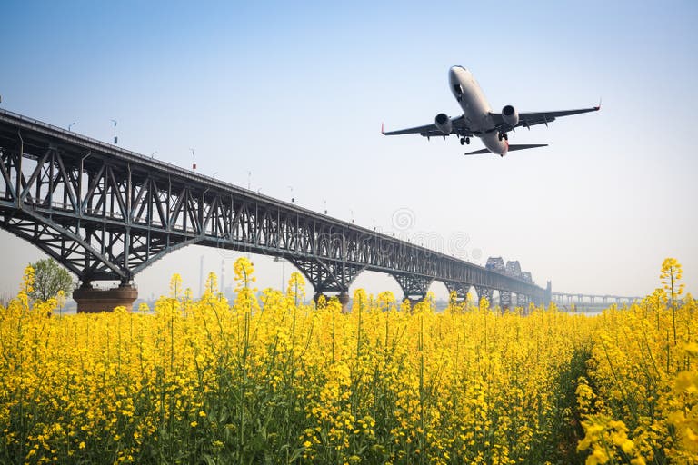 3,616 Flower Aircraft Stock Photos - Free & Royalty-Free Stock Photos ...