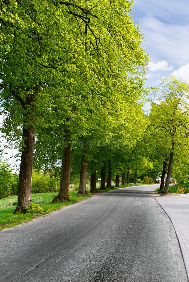 Spring road stock image. Image of grass, outside, drive - 17305601