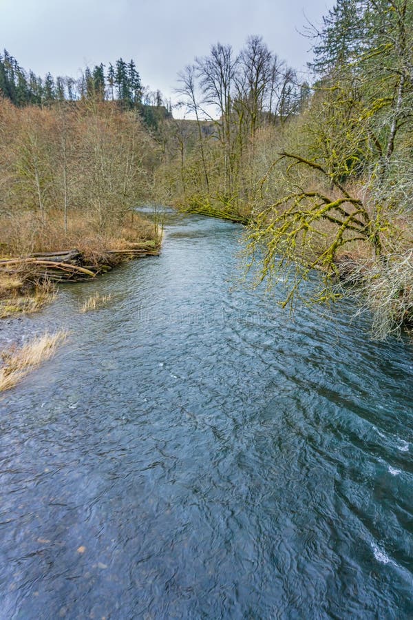 Spring Along the Green River 2 Stock Image - Image of bushes, wild ...