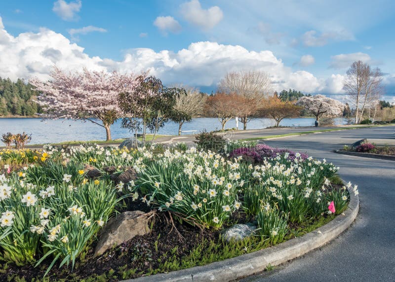 Washington DC in Spring stock image. Image of river - 110540983