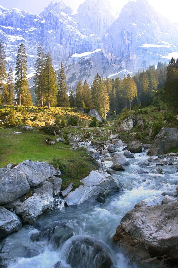 Spring alpine stream stock image. Image of natural, morning - 4606595