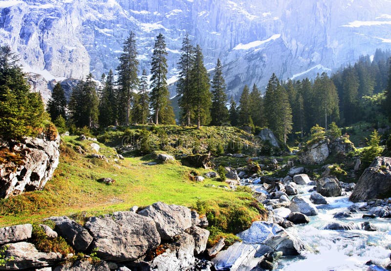 Spring alpine stream stock photo. Image of leaves, colour - 4606610