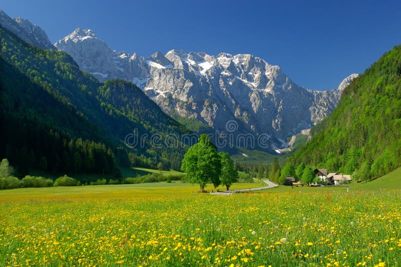 Traditional Alpine Stone House (Switzerland) Stock Image - Image of ...