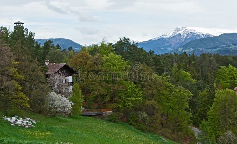 Spring in Alps stock photo. Image of dolomites, mountain - 12558654