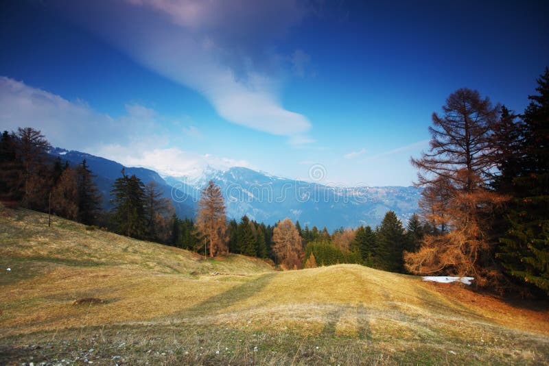 Spring Alps, Switzerland stock image. Image of land, farmeland - 2111723