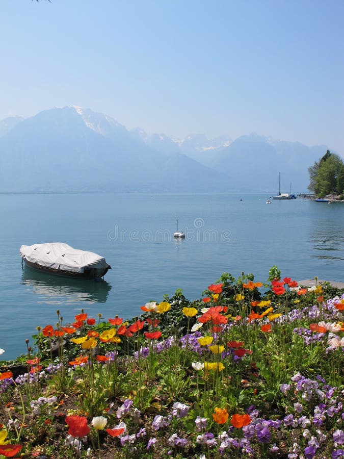 Spring Alps, Switzerland stock image. Image of spring - 2111729