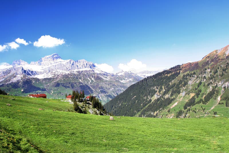 Spring Alps, Switzerland stock image. Image of land, farmeland - 2111723