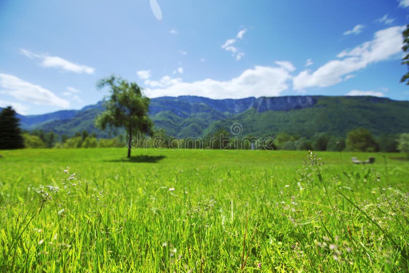 Spring alps stock image. Image of europe, hiking, field - 32279493