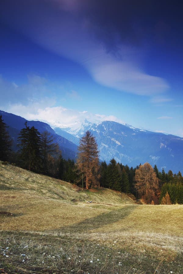 Spring in the alps stock photo. Image of springtime, spring - 58931282