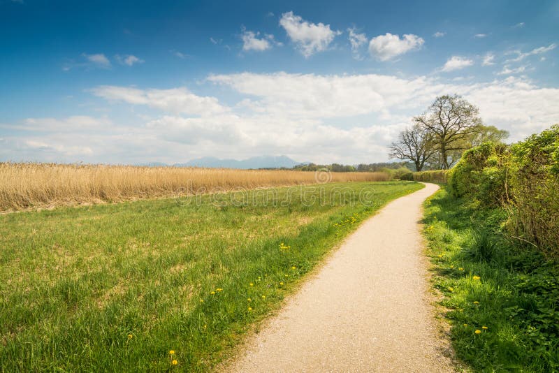 Spring in the Alps stock image. Image of path, view, sight - 88434611