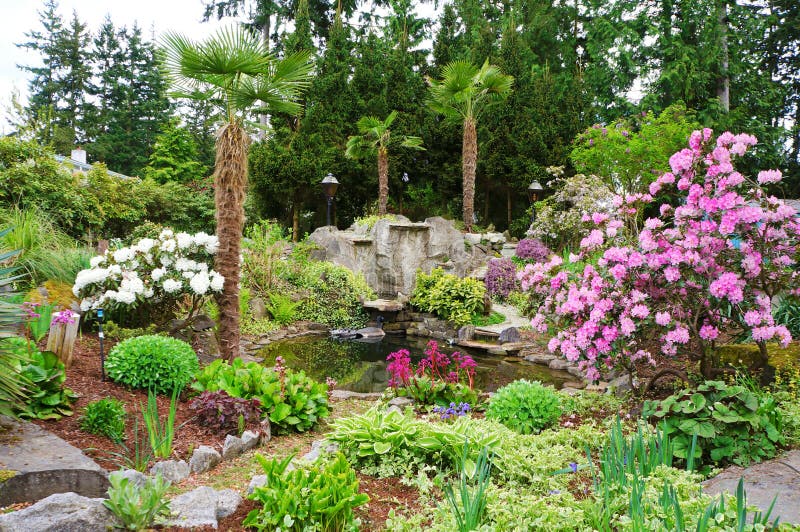 Spring American Northwest Home Landscape Garden. Stock Photo - Image of ...