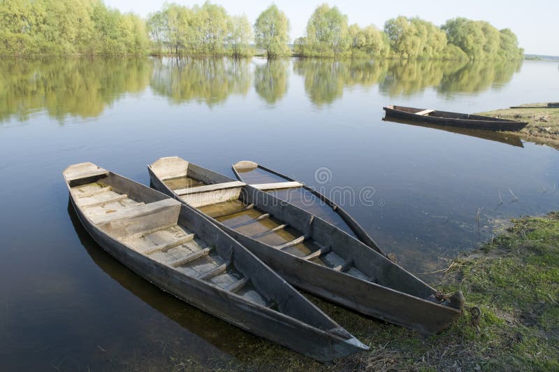 Spring - Annual Overflow of River Stock Photo - Image of nature, light ...