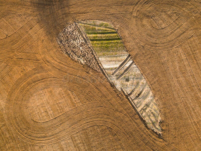 Spring Arable Land. Field and Beautiful Patterns from the Tractor. View ...