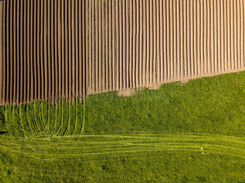 Spring Arable Land. Field and Beautiful Patterns from the Tractor. View ...