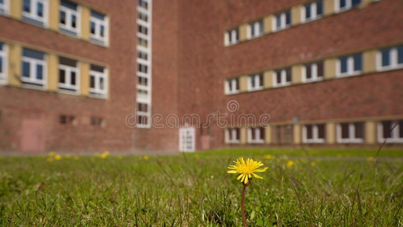 SPRING and ARCHITECTURE stock image. Image of design - 317640737