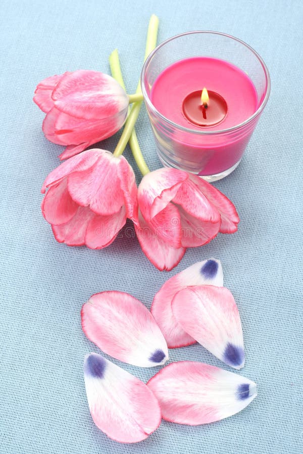 Spring aroma stock image. Image of wellbeing, pink, alternative - 4984993