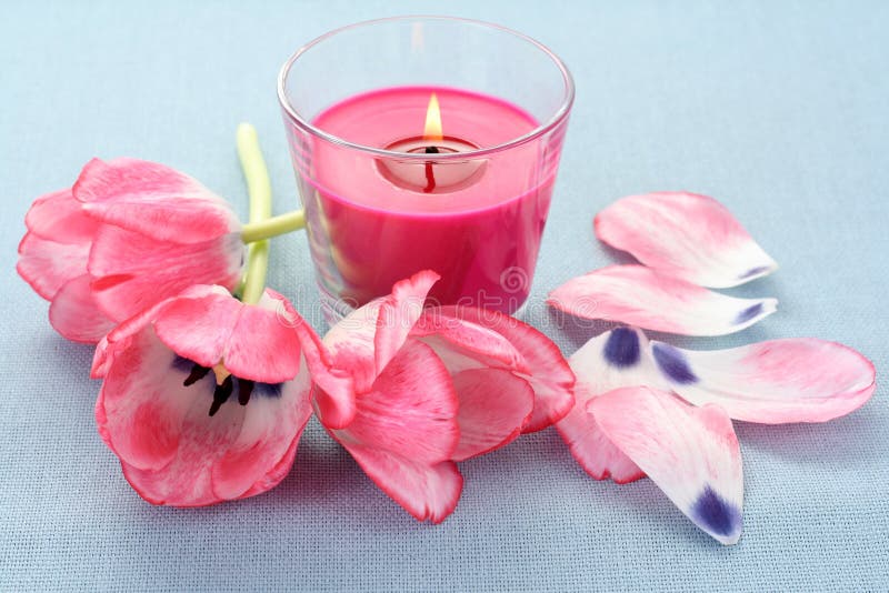 Spring stock image. Image of buds, flowers, beautiful - 2070637