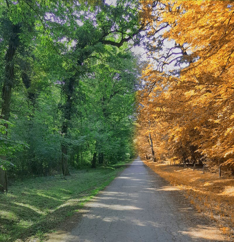 Seasoncontrast Stock Photos - Free & Royalty-Free Stock Photos from ...