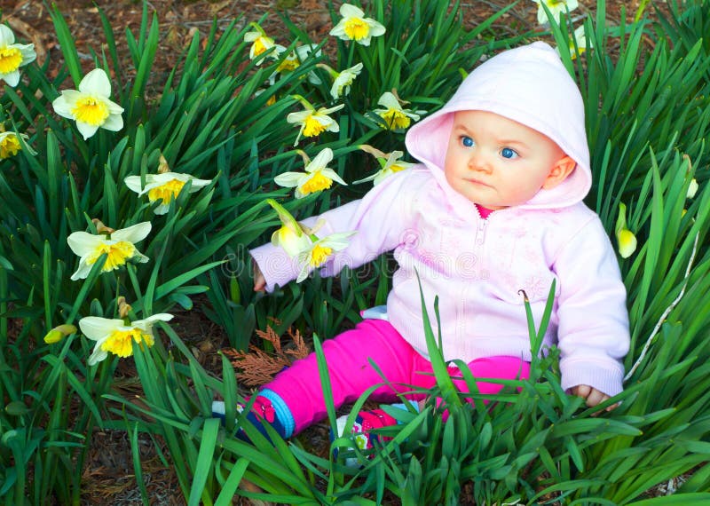 Spring baby in daffodils stock photo. Image of colours - 23845476