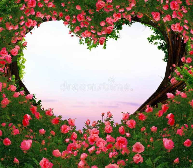 Branches Form a Heart-shaped Pattern.Roses in the Shape of a Heart ...
