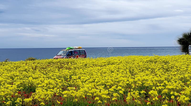 Springtime stock image. Image of itx27s, springtime - 112216885