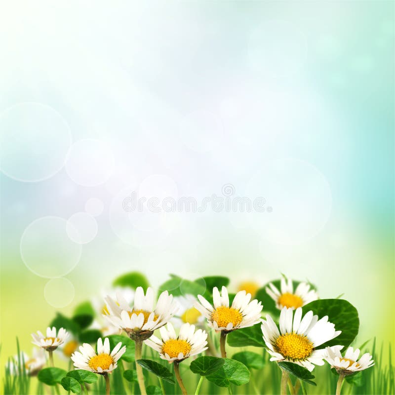 Spring background stock photo. Image of focus, flora - 18924172